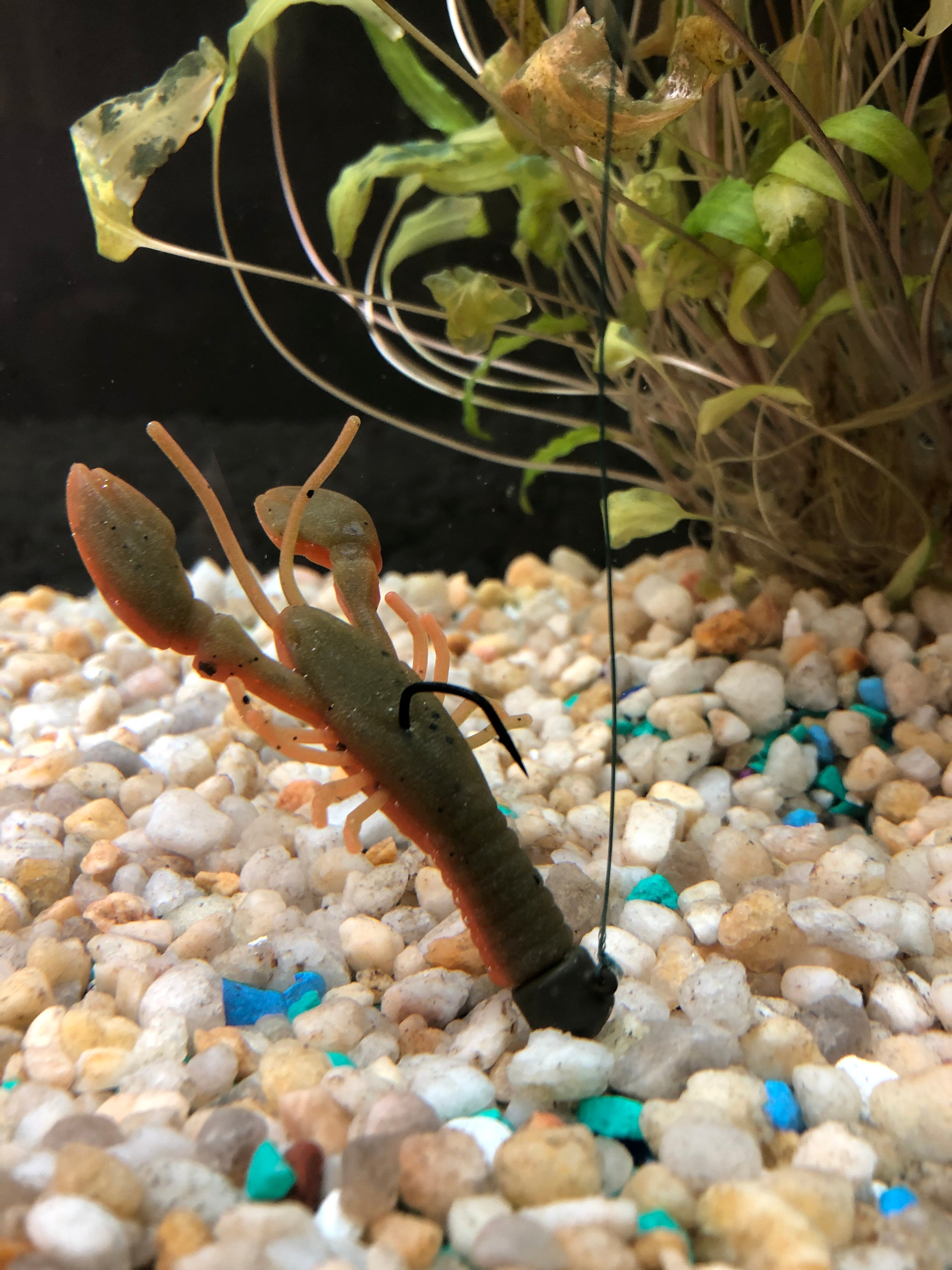 On the Spot Baits – On the Spot Baits